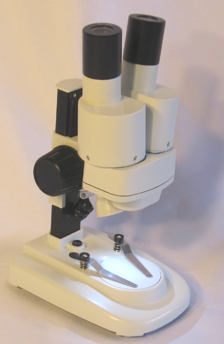 Dissecting microscope