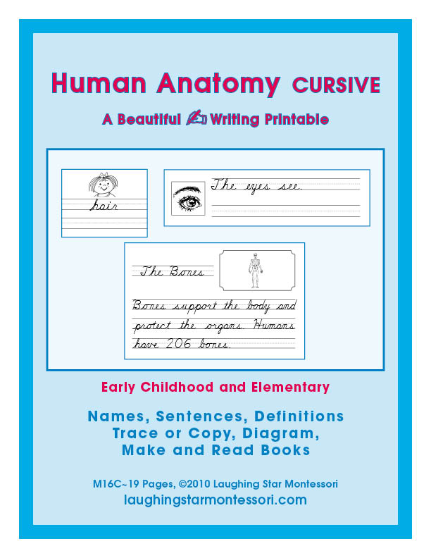 Human Anatomy Writing - Cursive PDF