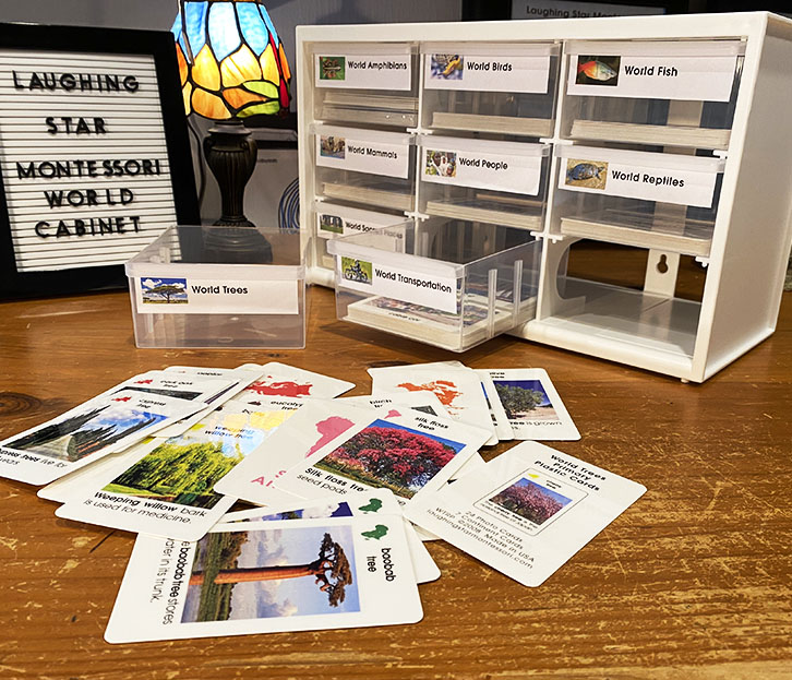 7 Continent Animal Cards, Labeled Cabinet