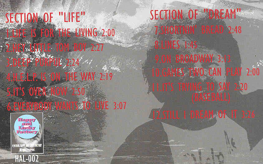 Brian Wilson Cd - Adult Child Millennium Edition