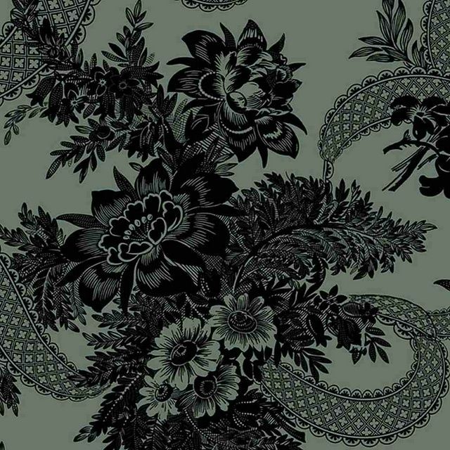 Midnight lace R220327 by Paula Barnes