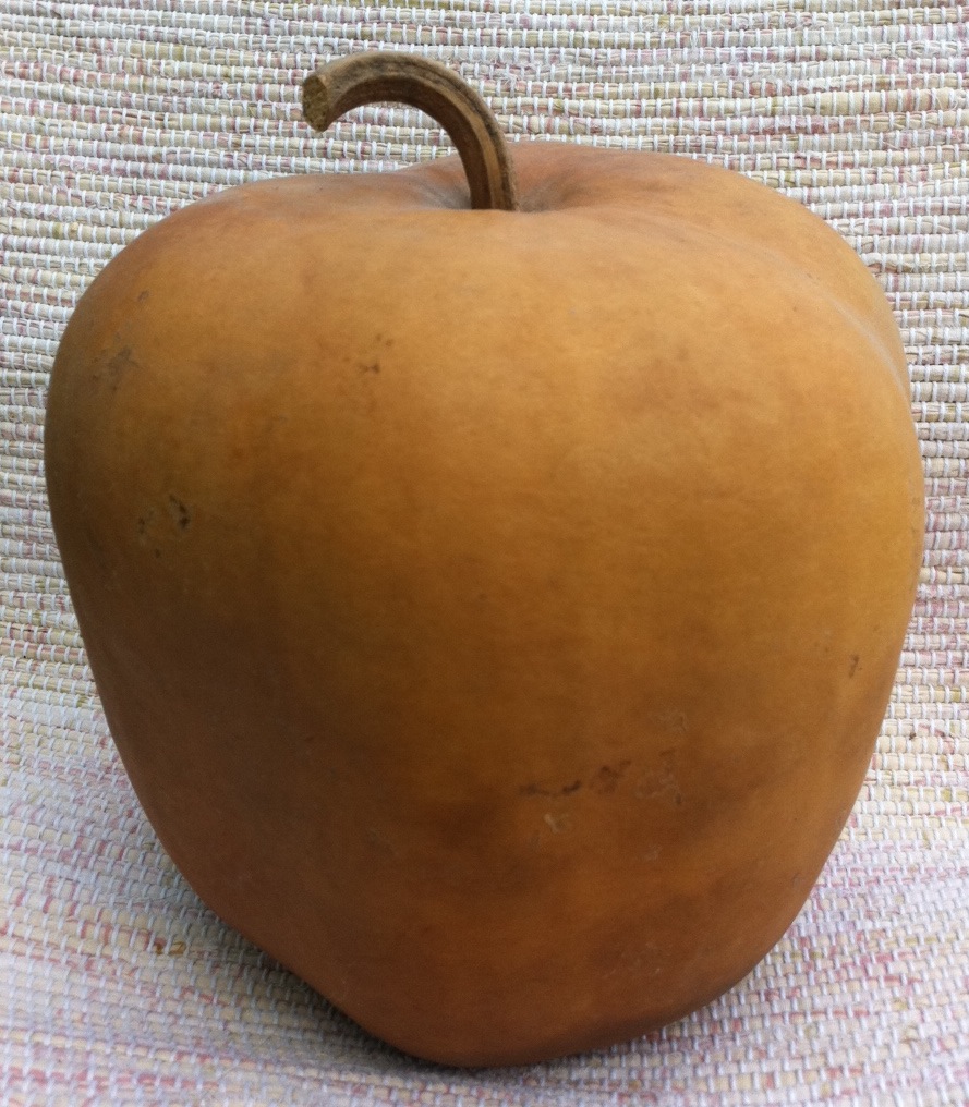 Apple Gourd - Lagenaria siceraria - seeds