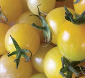 Lemon Drop Tomato seeds