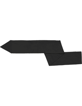 Black Guidon Staff Storage case