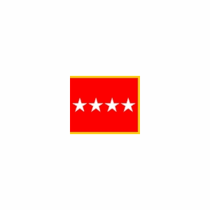 Army Navy USAF USMC Coast Guard Space Force Army Corps of engineer flags