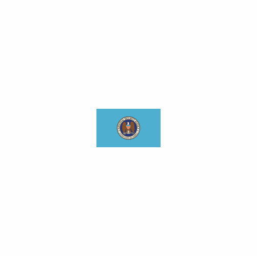 NSA Flags- Government Agency Flags