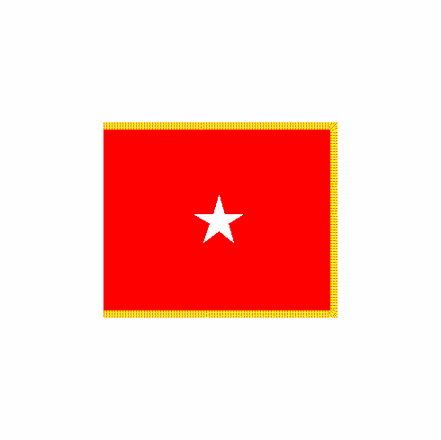 ARMY 1 STAR GENERAL FLAGS