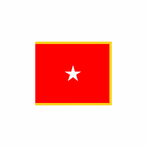 ARMY 1 STAR GENERAL FLAGS