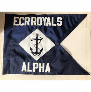 Armed Forces Military USAF USMC Army Navy Guidons