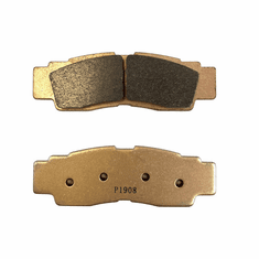 Yamaha Wolverine | RMAX2