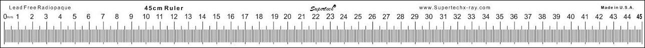 Buy Radiopaque X-Ray Ruler - Lead Free - Acrylic - 45cm - Extremity ...