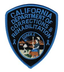 Blue Ribbon CDCR Shoulder Patch (Pair)