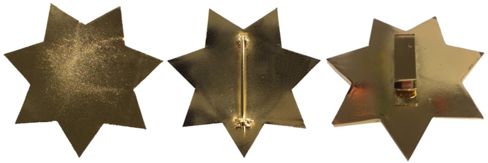 CDCR STANDARD FLAT BADGE