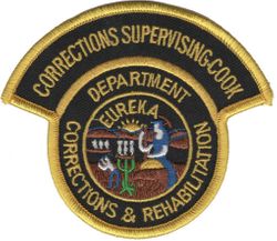 One Piece Corrections Supervising Cook Patch