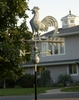 Flying Pig Weathervane only $299.90 at Garden Fun