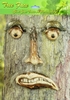 Tree Face Decoration | Tree Face Art | GardenFun