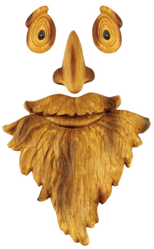 Tree Face Decoration | Tree Face Art | GardenFun