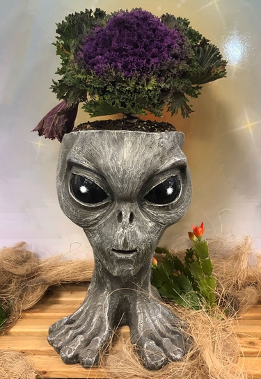 Mother "Aurora" Alien Planter - Gray Finish only $99.99 at Garden Fun
