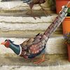 Metal Pheasant Bird Standing only $84.99 at Garden Fun