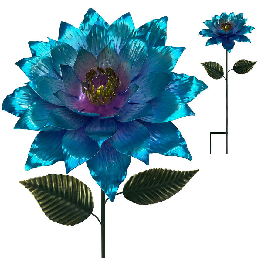Blue Zinnia