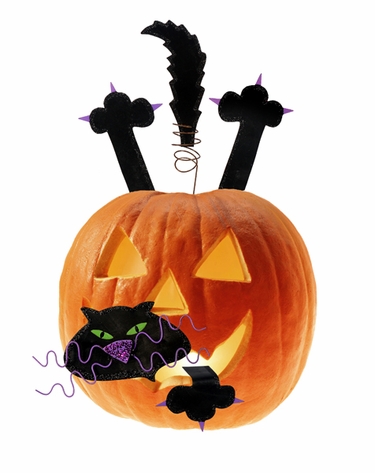 Pumpkin Kit - Black Cat only $8.99 at Garden Fun