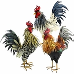 Metal Rooster Decor | Decorative Roosters | GardenFun