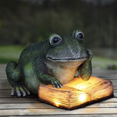 Solar Frog Reading Book only $47.95 at Garden Fun