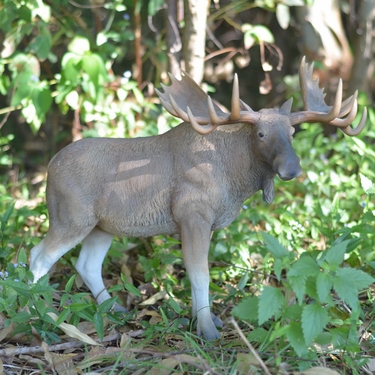 Standing Moose Statue "Ultra-Realistic" only $179.95 at Garden Fun
