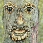 Outdoor Hanging Decor, Wind Spinners & More | GardenFun.com