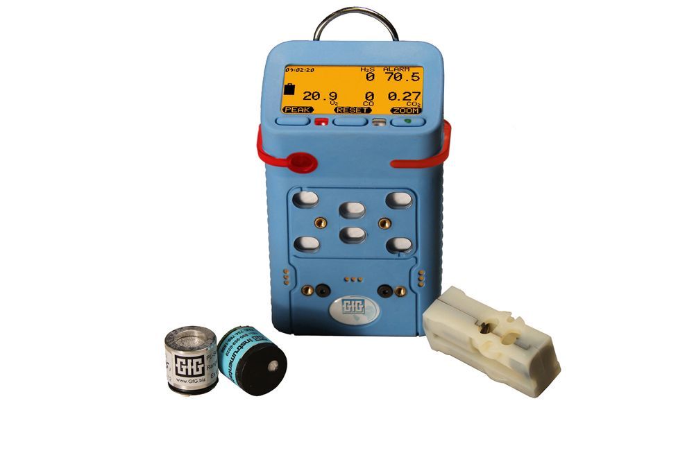 GfG G460 Multi-Gas Detector with NiMH Smart Pump and NiMH Battery, O2 ...