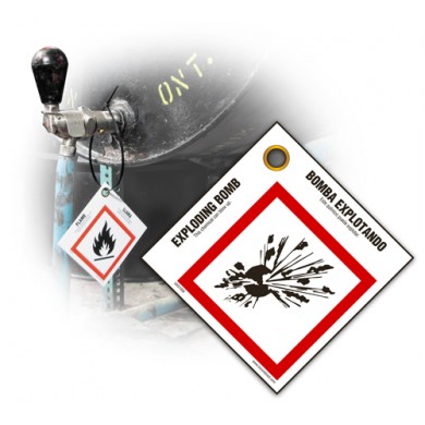 Exploding Bomb Pictogram