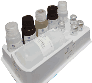 RaPID Assay® Quantitative Assays