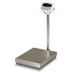 Salter Brecknell 300 lb. Capacity Bench/Floor Scale SBWS