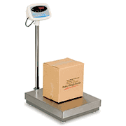 Salter Brecknell 300 lb. Capacity Bench/Floor Scale SBWS