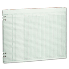 Buy Wilson Jones Ledger Sheets from AceOfficeMachines