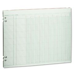 Wilson Jones® Accounting Sheets, 10 Columns, 11 x 14, 10