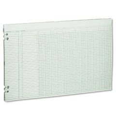 Wilson Jones® Accounting Sheets, 12 Columns, 11 x 17, 10
