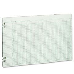 Wilson Jones® Accounting Sheets, 24 Columns, 11 x 17, 10