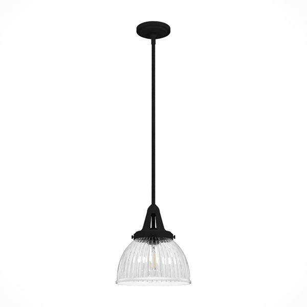 Hunter Lighting 192 Cypress Grove 1 Light Pendant