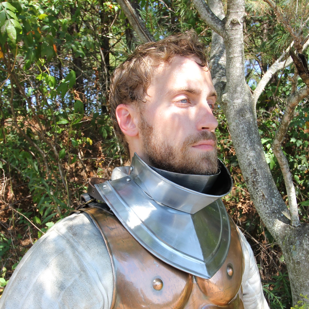 Plate Armour With Neck Guard