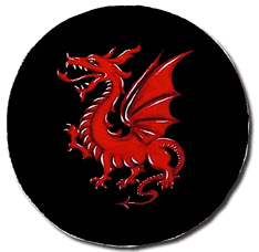 Medieval SCA (Society for Creative Anachronism) Shields | Armor Venue