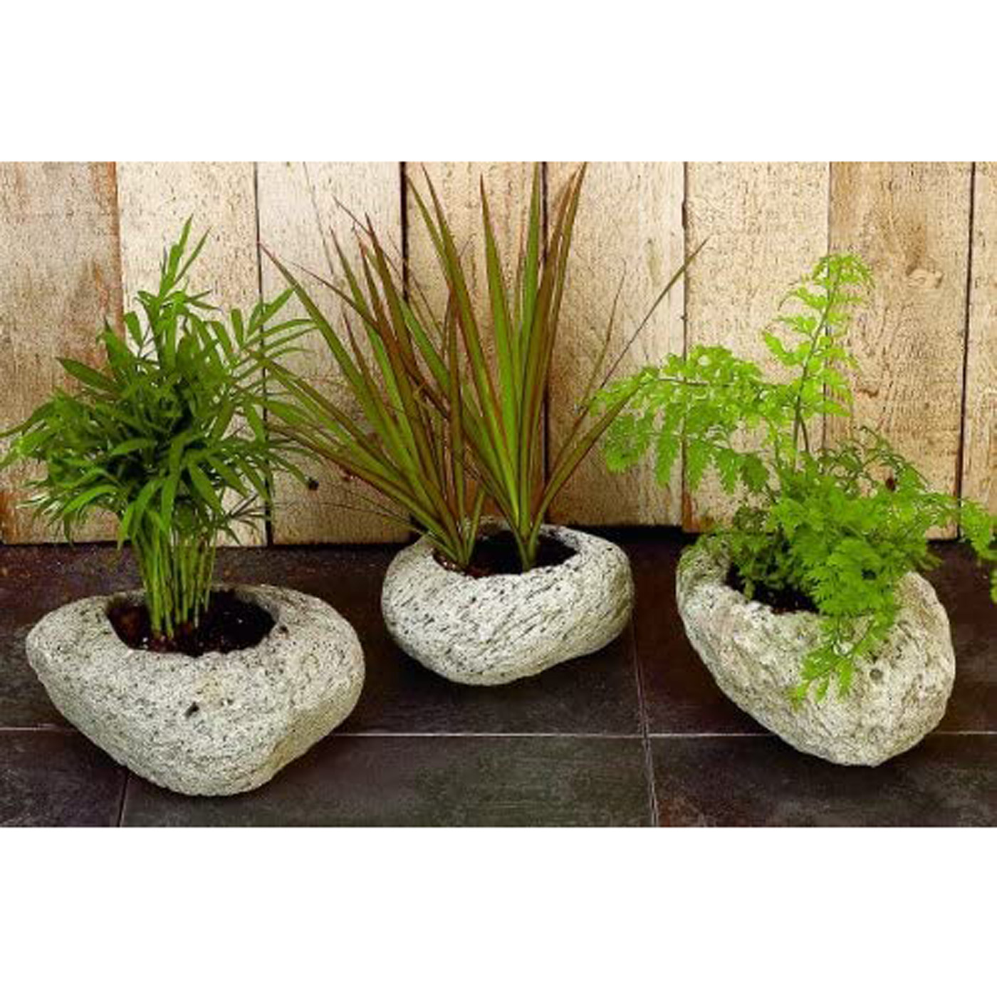 Volcanic Rock Planters, Set of 3 by Dr. Livingstone - Dr. Livingstone