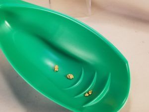 NEW! Gold Spot Treasure Scoop - SEE VIDEOS