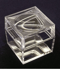 Magnifying Display Boxes for Gold, Gemstones, Specimens
