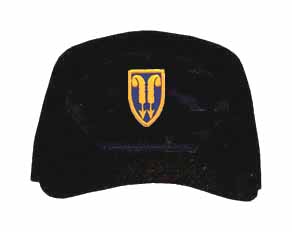22nd Support Command Ball Cap