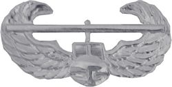 Air Assault Wings Pin