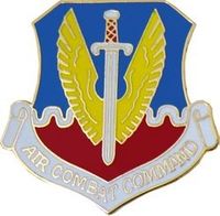 Air Combat Command Pin