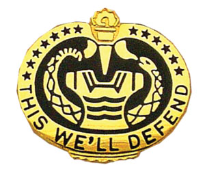 Army Drill Sergeant Badge