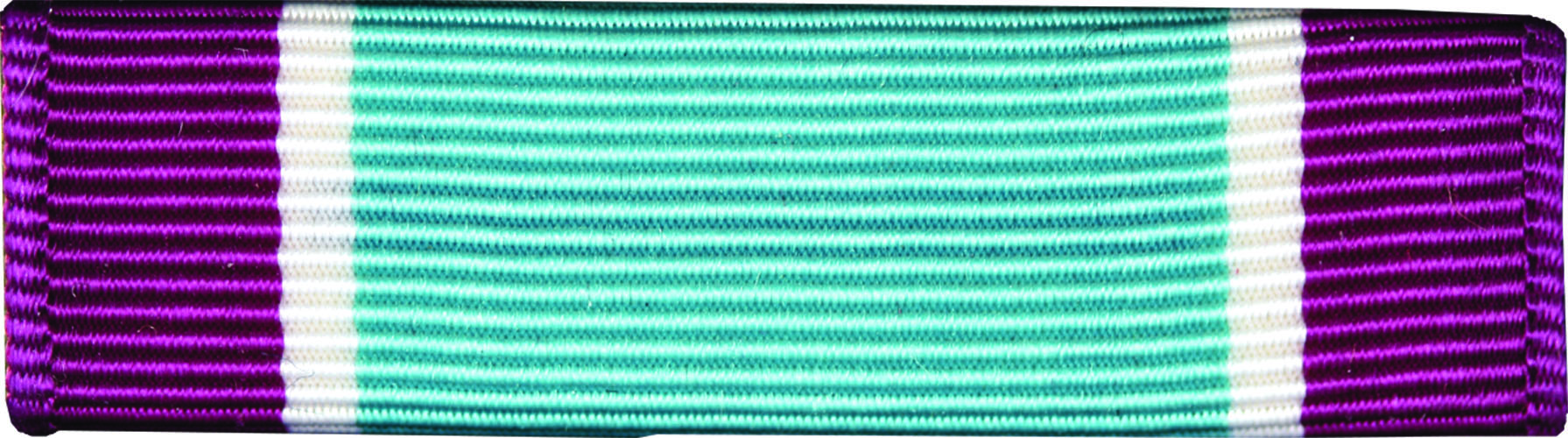 Coast Guard Distinguished Service Ribbon