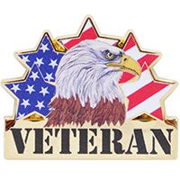 Eagle Veteran Pin